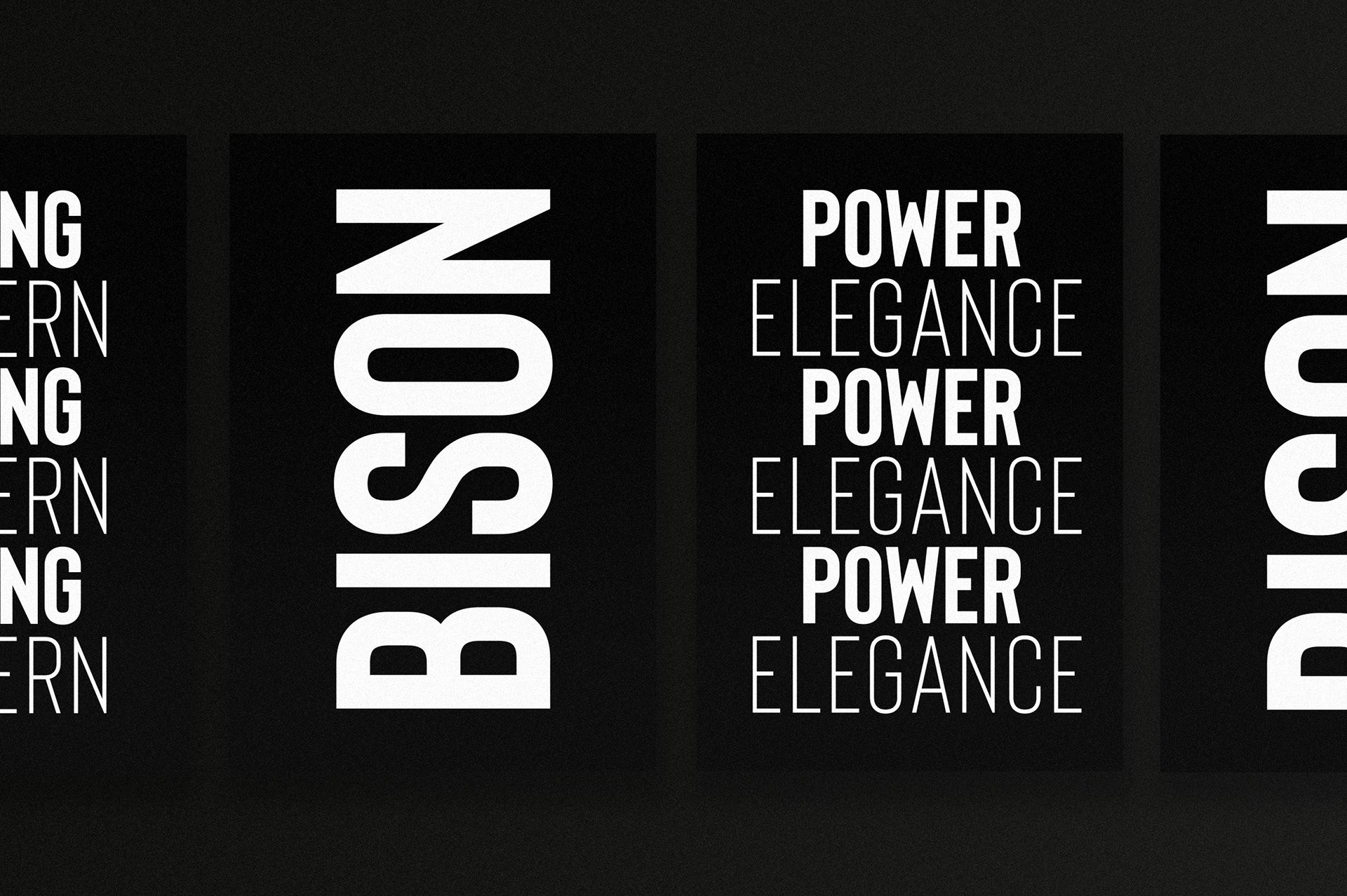 Ellen Luff Type - Bison · Fonts by Ellen Luff Type Foundry Font Family