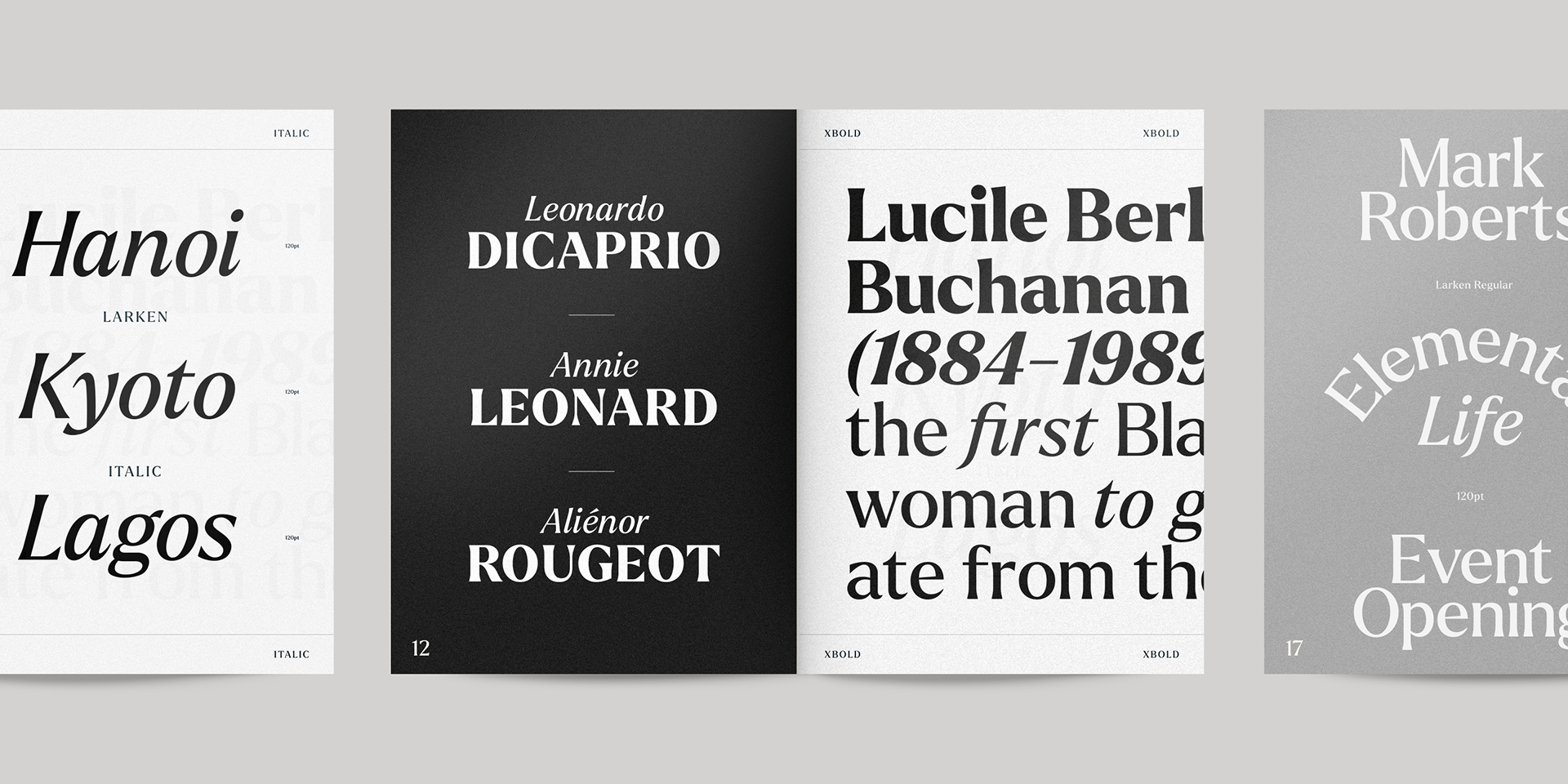 Ellen Luff Type - Larken · Fonts by Ellen Luff Type Foundry Font Family