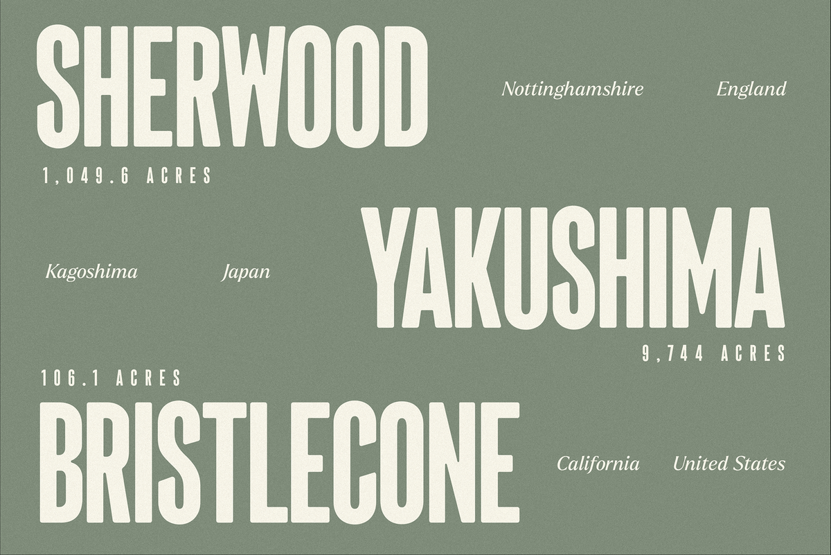 Ellen Luff Type - Sherman · Fonts by Ellen Luff Type Foundry Font Family